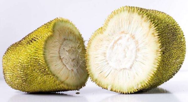 9 Awesome Fruits That Have High Protein (High Protein Fruits for Muscle ...