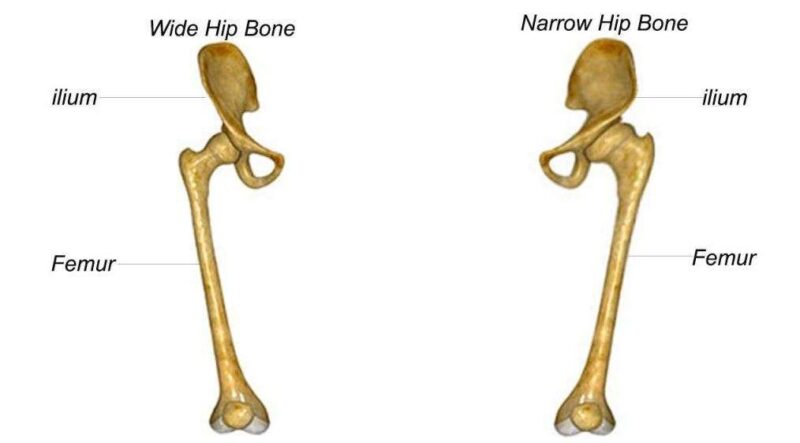 How to Get Rid of Hip Dips in a Week + a full 30 Day Hip Dip Challenge ...